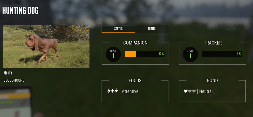 Thehunter Call Of The Wild Bloodhound Dlc Full Guide Gamepretty