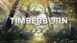 Timberborn: How to Play Custom Maps - GamePretty
