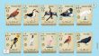 Wingspan: Bird Card List - GamePretty